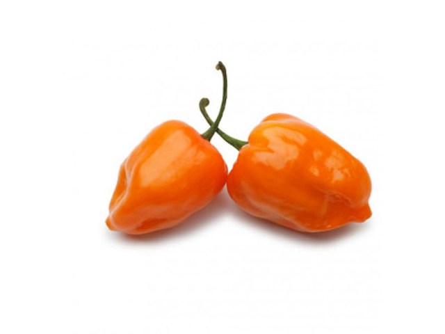 Orange Habanero - Ljuta paprika (seme)