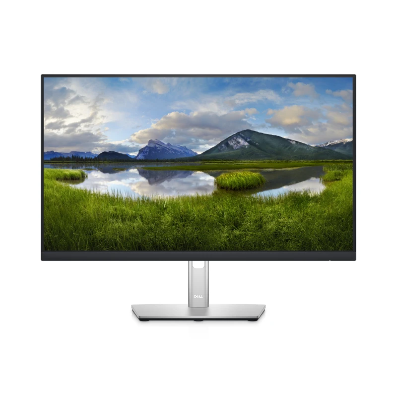 Dell P2422HE USB-C Profesional IPS monitor 23.8"
