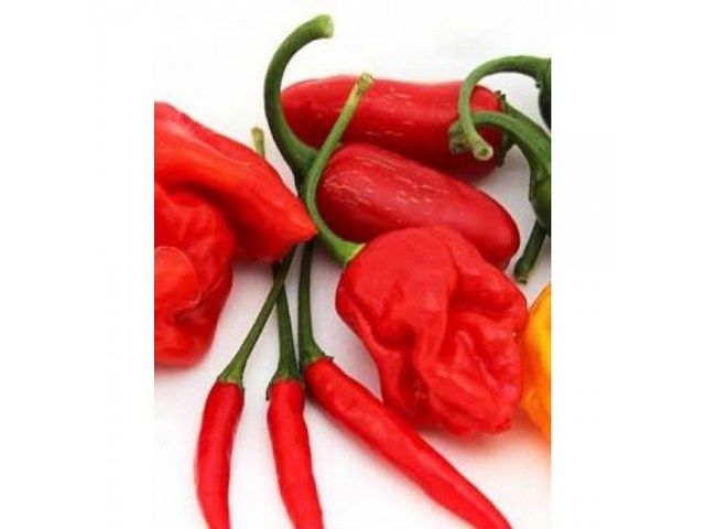 Red Chili mix (seme) - Razne vrste crvenih čili paprika