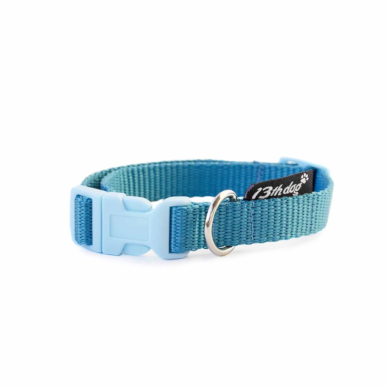 13th Dog Summer Blue Coll13 XS ogrlica