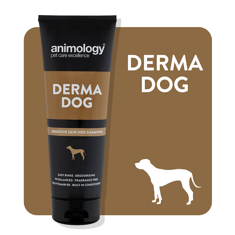 Animology Derma Dog sensitive skin 250ml