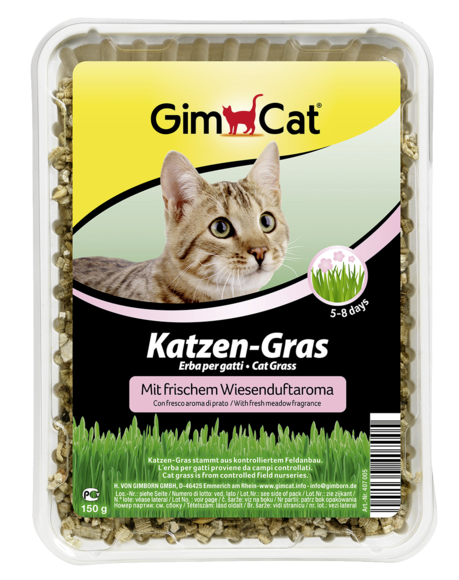 Gimcat Cat trava za mace Katzen-Gras 150g