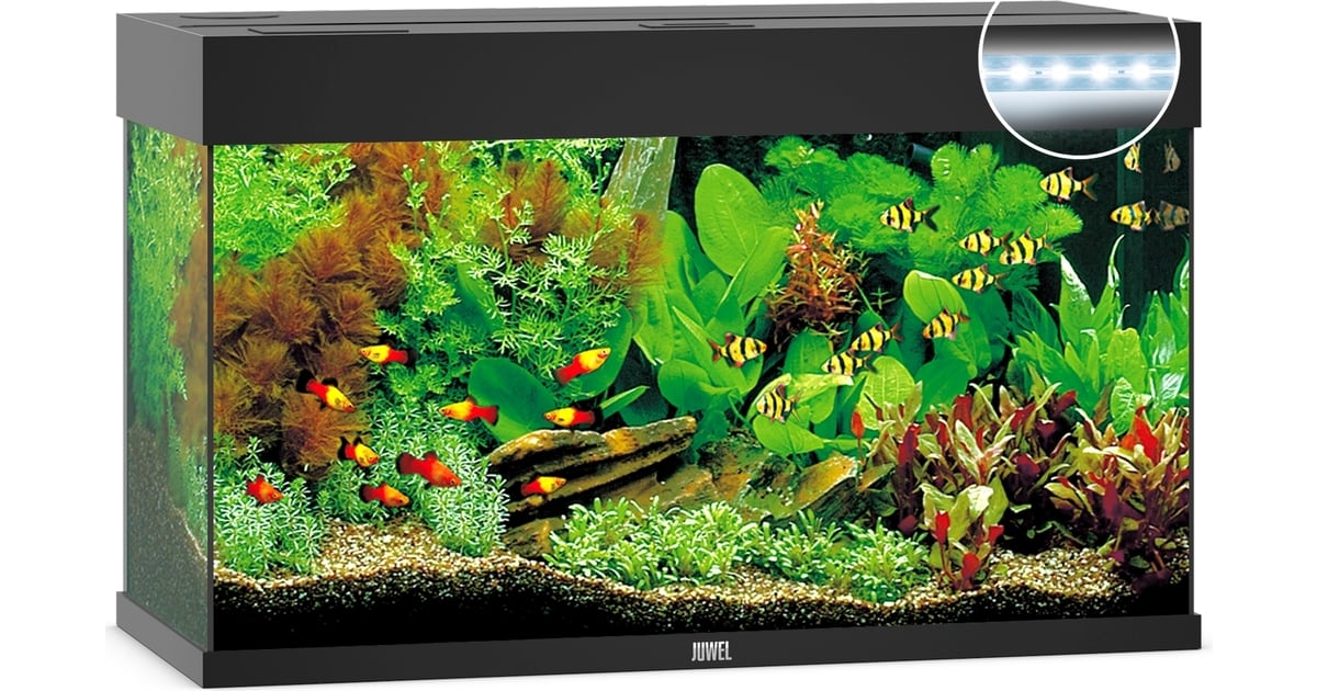 Juwel Rio 125 Akvarijum LED crni