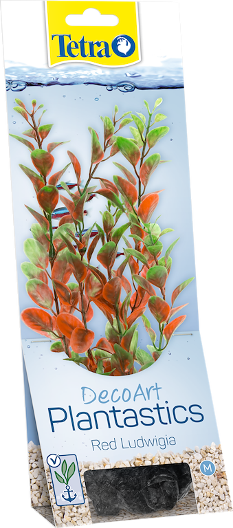 Tetra R.Ludwigia M DecoArt 23cm