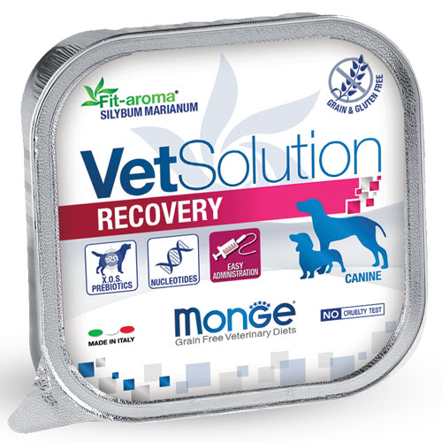 VetSolution Dog Recovery Pašteta 150g