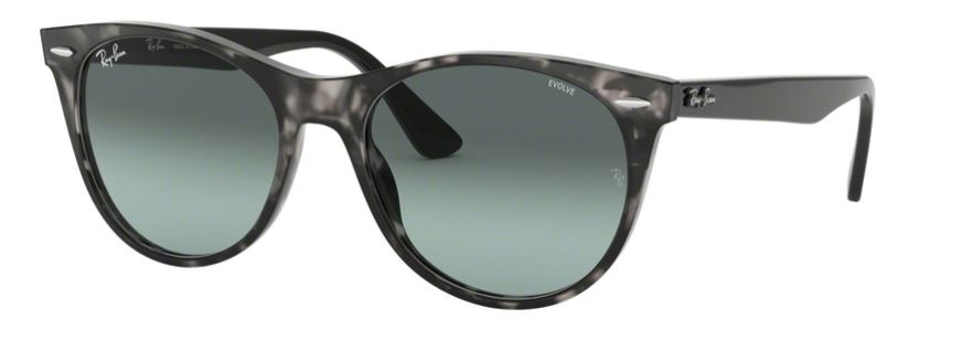 RAY BAN WAYFARER II EVOLVE Sunčane naočare 0RB2185 1250AD 55