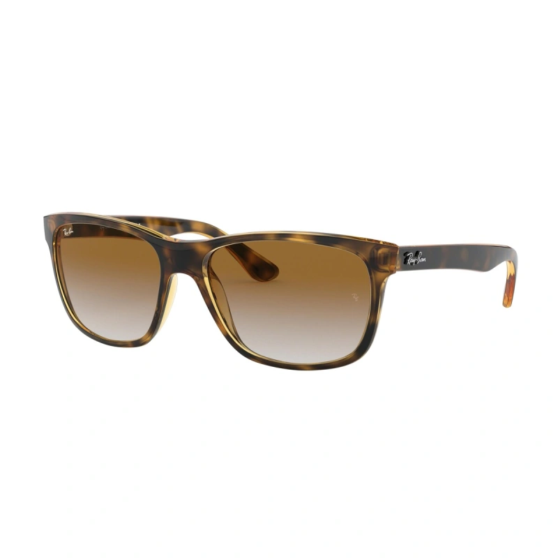 RAY BAN Sunčane naocare 0RB4181 710/51 57