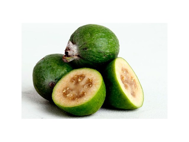 Feijoa (seme) Acca sellowiana