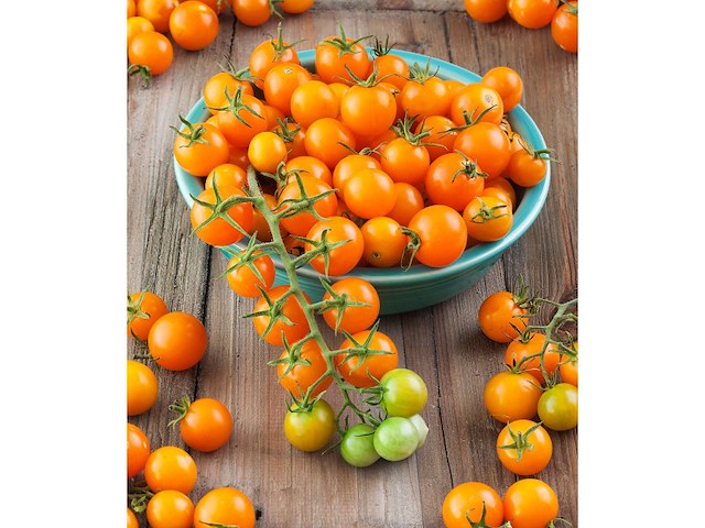 Cherry orange paradajz (seme) heirloom