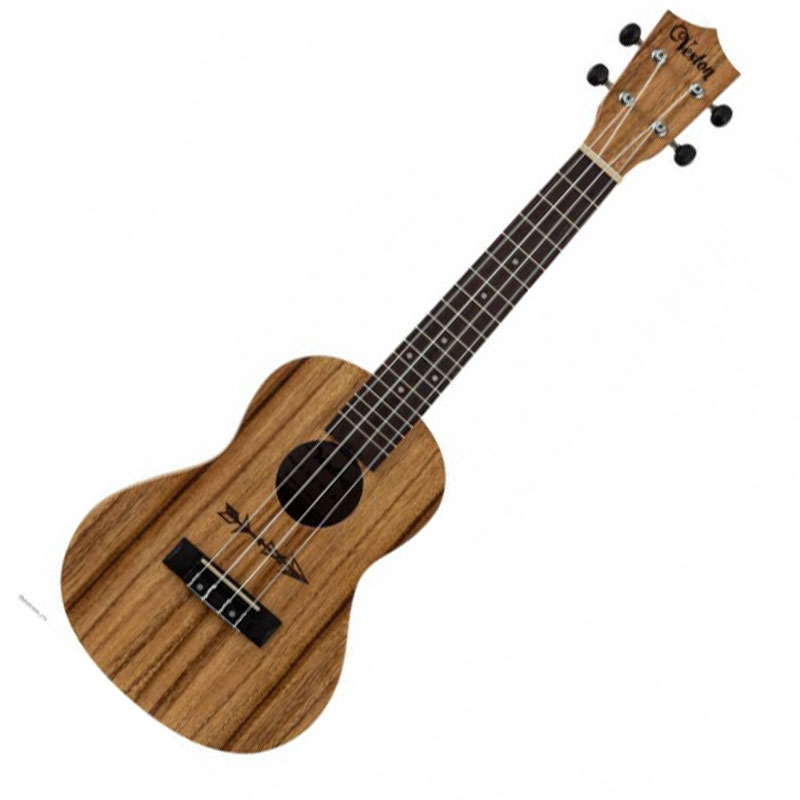 Veston KUC100 AC concert ukulele