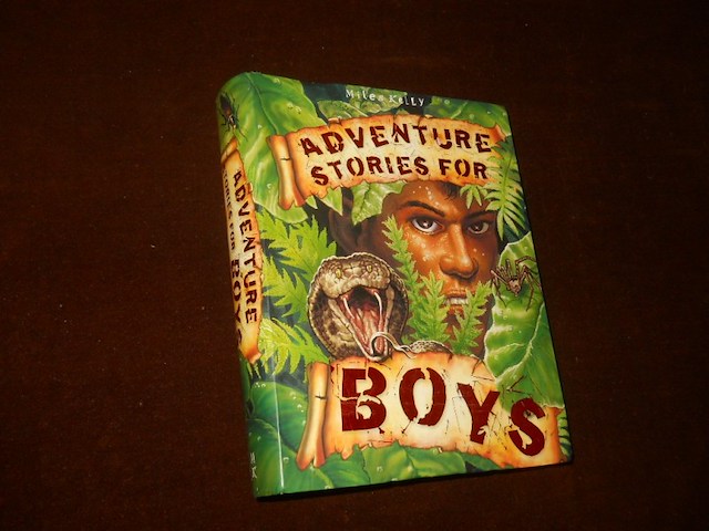 ADVENTURE STORIES FOR BOYS