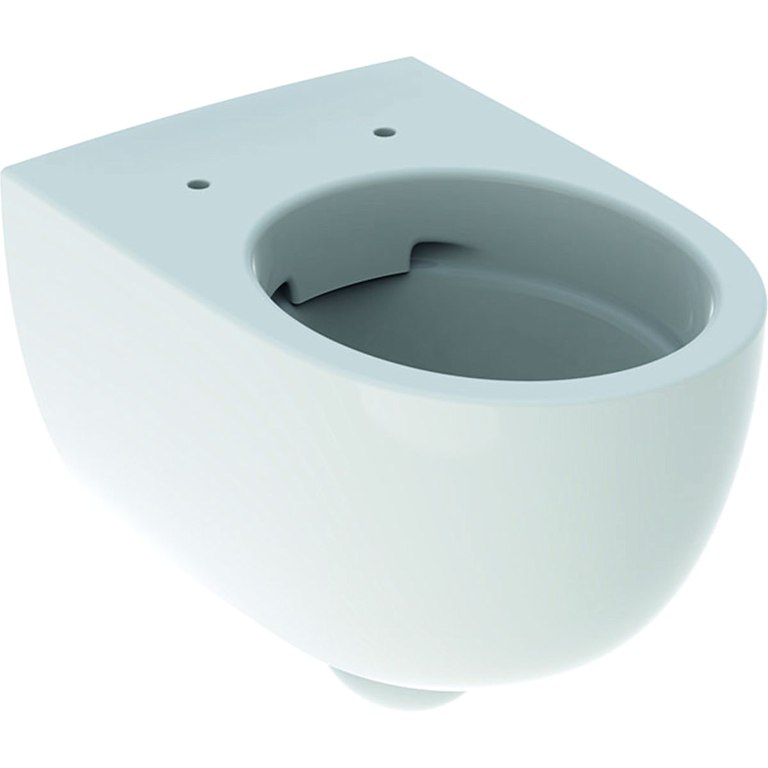 GEBERIT Selnova Compact 49cm RIM-FREE WC šolja konzolna + daska