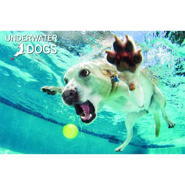 Prime 3D Super 3D puzzle Underwater Dogs Pas 150 delova 31X46cm 10866