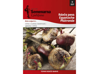 Cvekla egipatska - seme - Beta vulgaris L. var. conditiva 50g