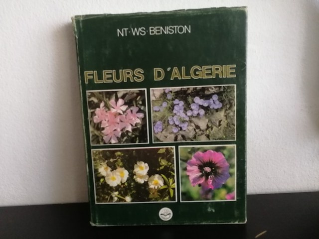 Fleurs D`Algerie BENISTON NT et WS