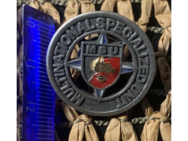 MSU oznaka multinational specialed unit