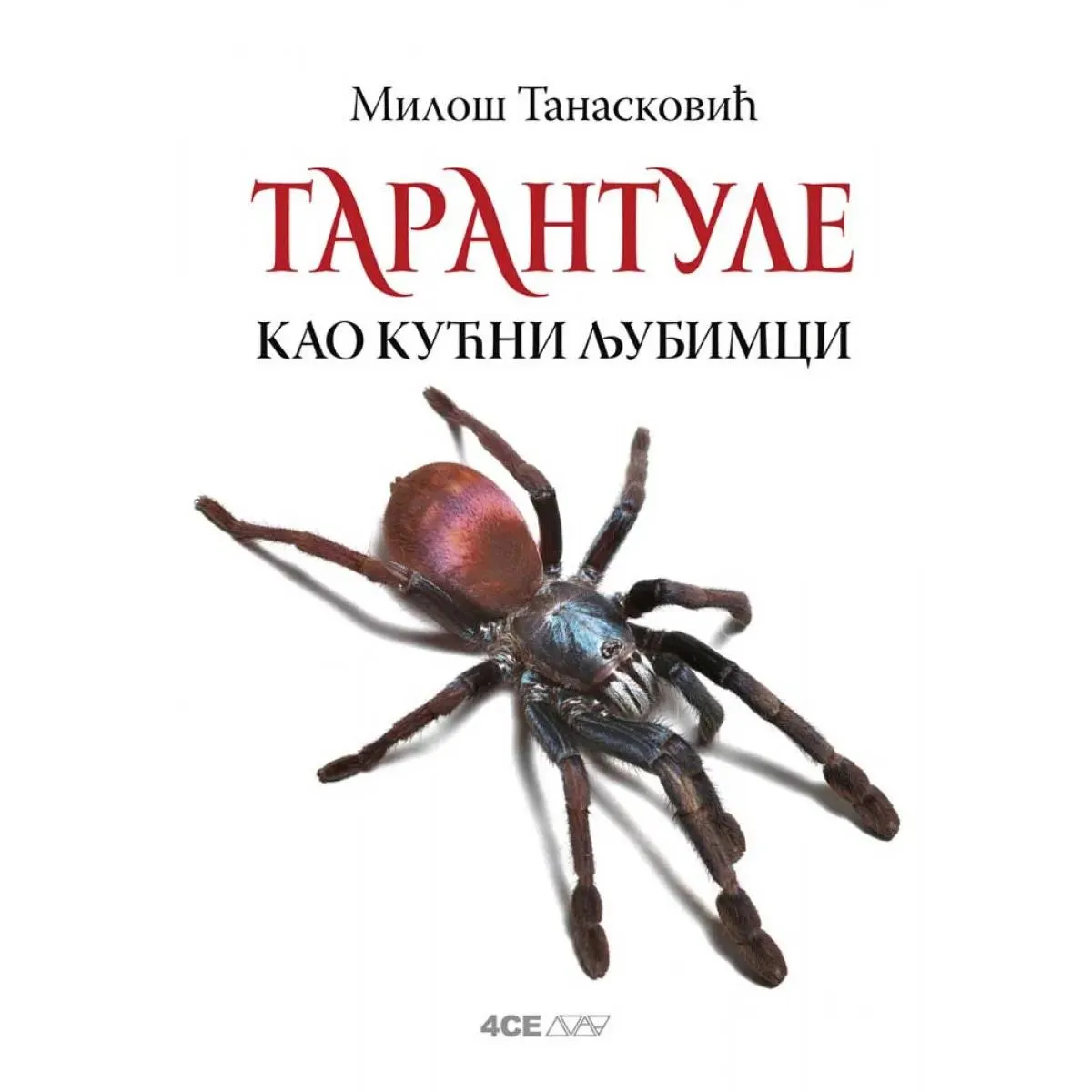 TARANTULE KAO KUĆNI LJUBIMCI