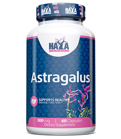 ASTRAGALUS 500MG