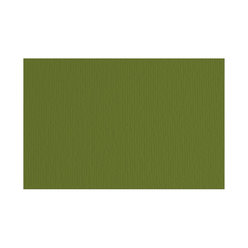 Papir u boji B2 220g Elle Erre Fabriano 42450728 maslinasto zeleni (verdone)
