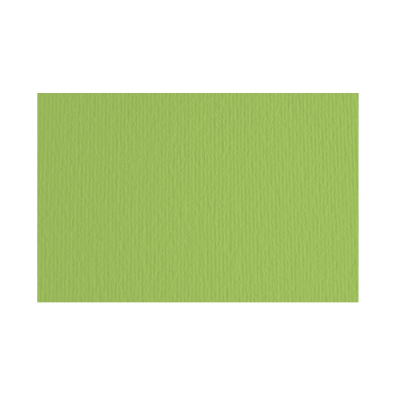 Papir u boji B1 220g Elle Erre Fabriano 46470110 zeleni (verde pisello)