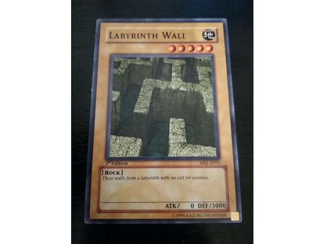 Yu-GI-OH!- Labyrinth Wall