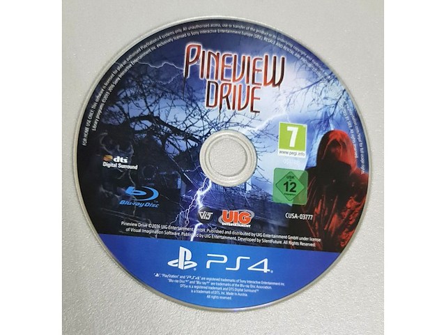 Pineview Drive   PS4  (samo disk)