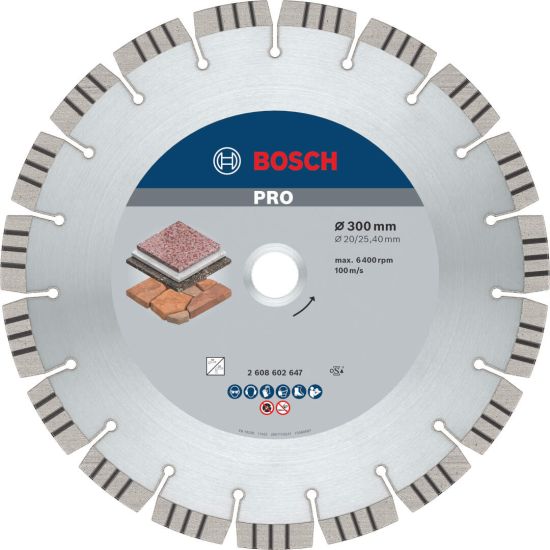 Bosch PRO Stone dijamantska rezna ploča 300x2.8x20x25.4 mm segmenti 15 mm (2608602647)
