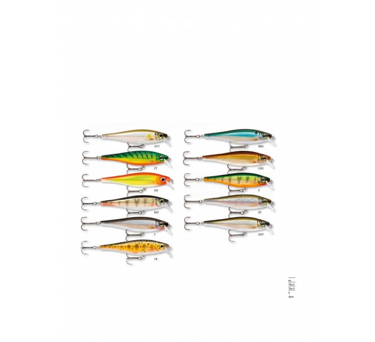 Rapala BX Minnow BXM10