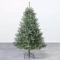 Novogodišnja Jelka Evergreen Classics Breton Pine 210 cm