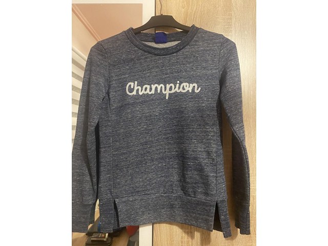 Champion duks