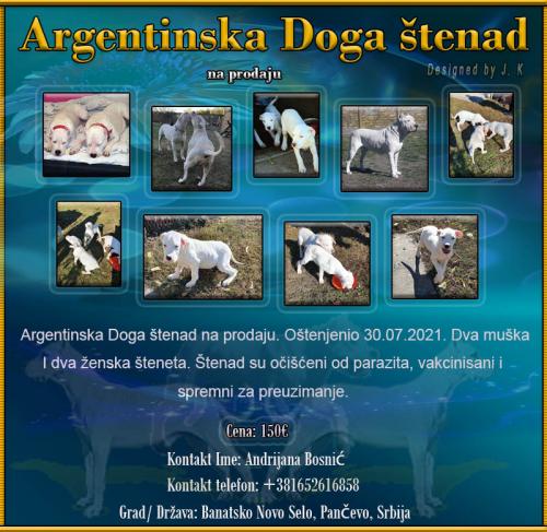 Argentinska Doga
