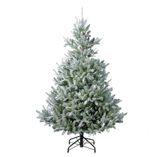 Novogodišnja jelka Snowy Grandis Fir 240 cm