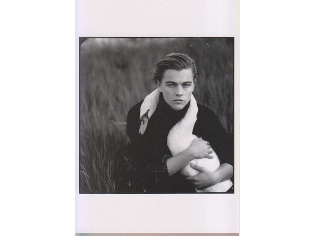 LEONARDO DICAPRIO, CALIFORNIA, 1997 - perfekttttttttttT