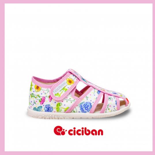 CICIBAN 440 - AGATHA (31-35)