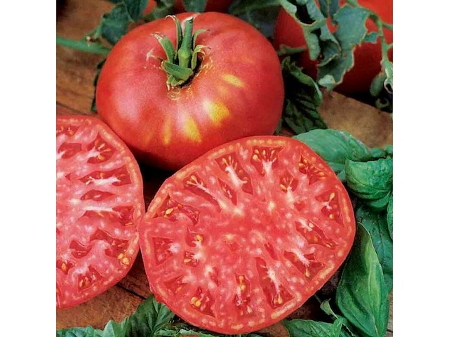 Seme paradajza ~ Ukrajinan
