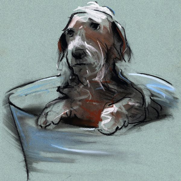 Pas se kupa
