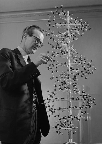 Maurice Wilkins posmatra atome