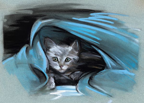 Maca ispod pokrivaca