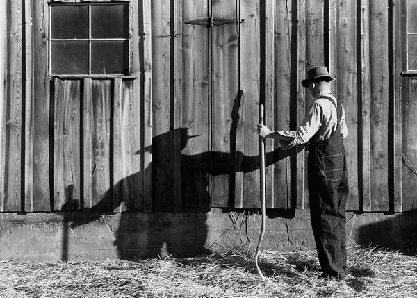 Farmer i njegova senka