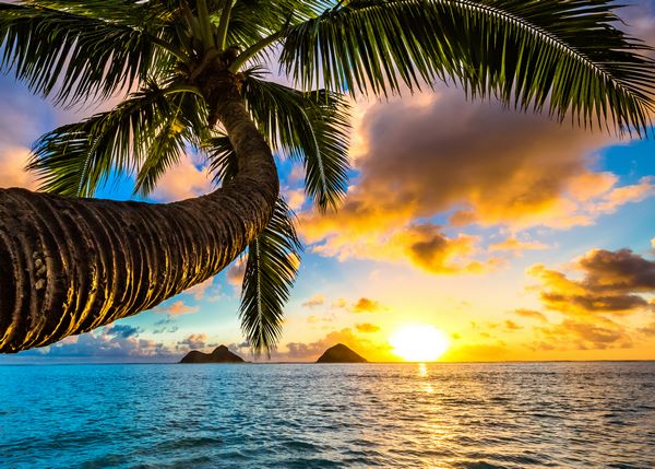Havaji Lanikai, Kailua Sunrise