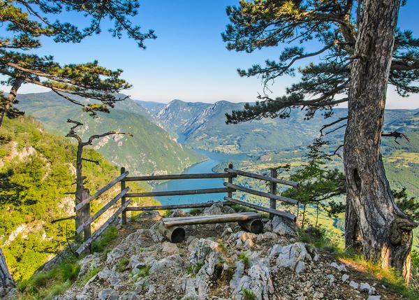 Srbija planina Tara