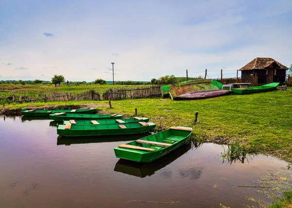Srbija prirodni rezervat Zasavica