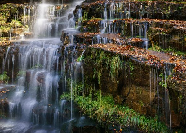 Srbija Tupavica, Stara Planina, Pirot