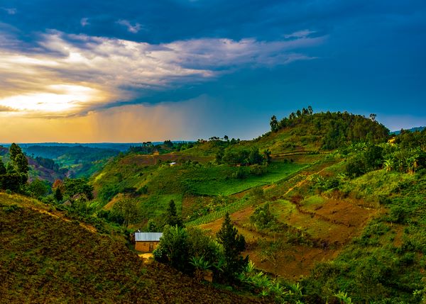 Uganda nacionalni park kraljice Elizabete