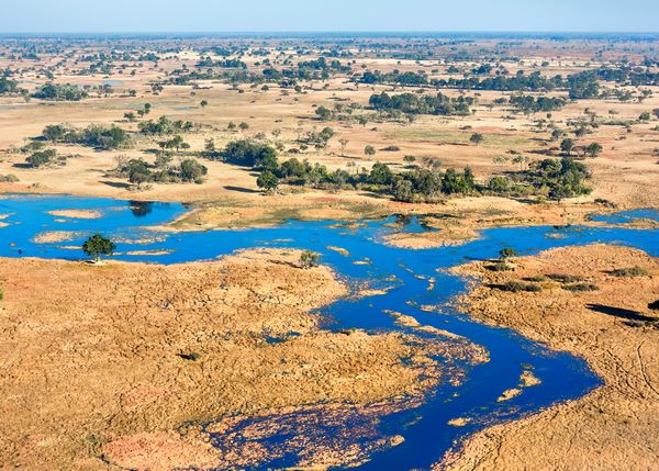 Bocvana Okavango Grassland