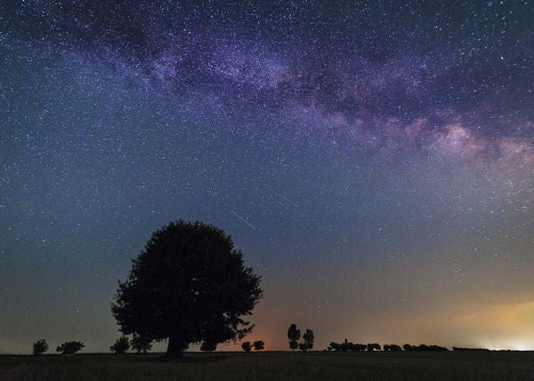 Drvece fotografija sareno nebo