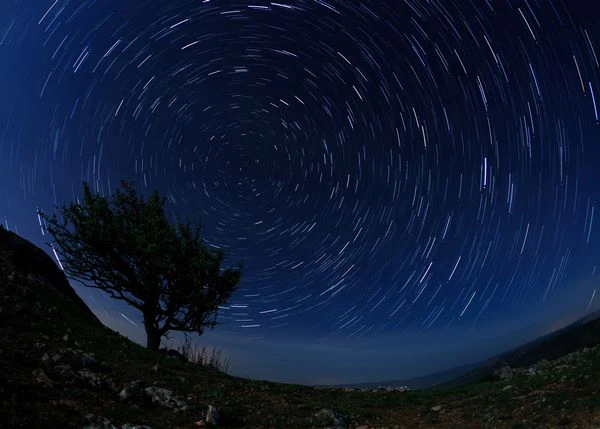 Drvece fotografija zvezdano nebo