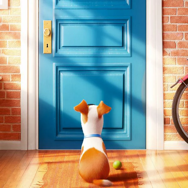 Secret Life Of Pets plav avrata