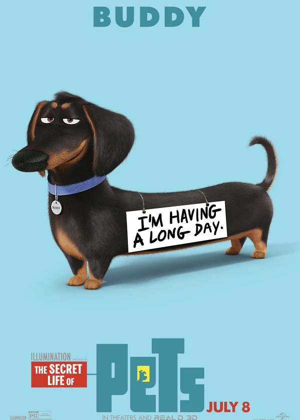 Secret Life Of Pets Buddy poster