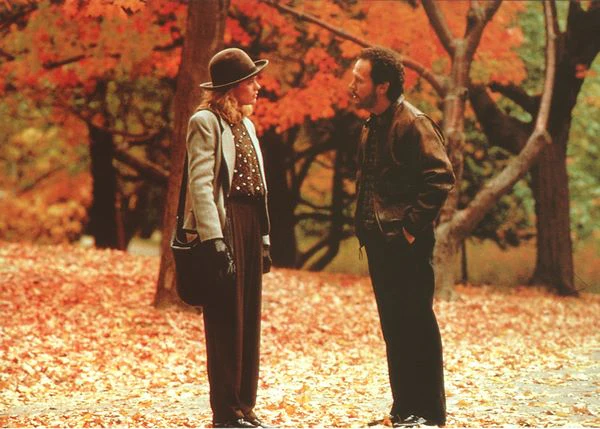 When Harry Met Sally suma Billy Crystal i Meg Ryan